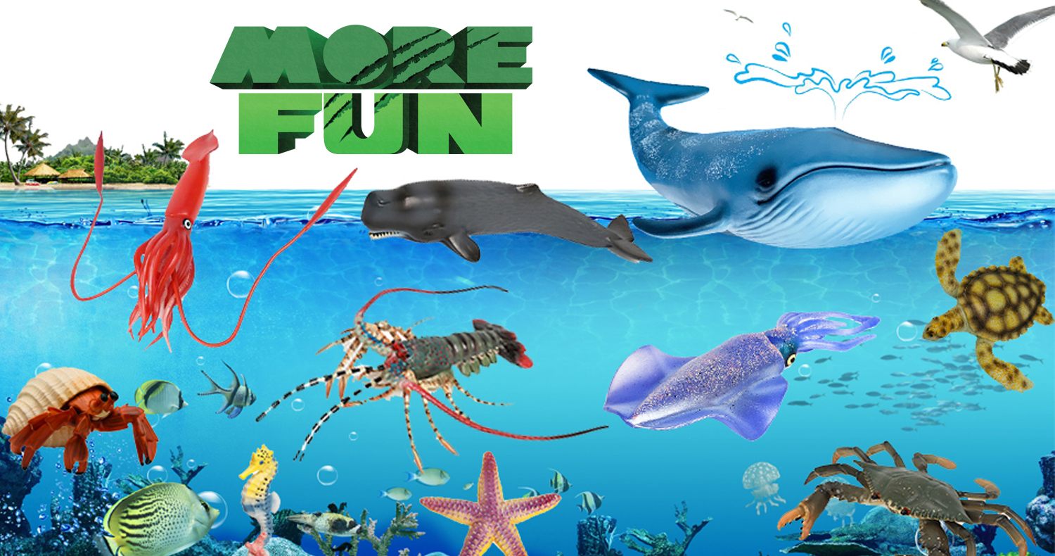 Morefun Toys – Shenzhen Morefun Technology Ltd